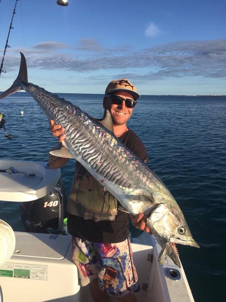 7" Mack Bait - Green Bonito – Lively Lures